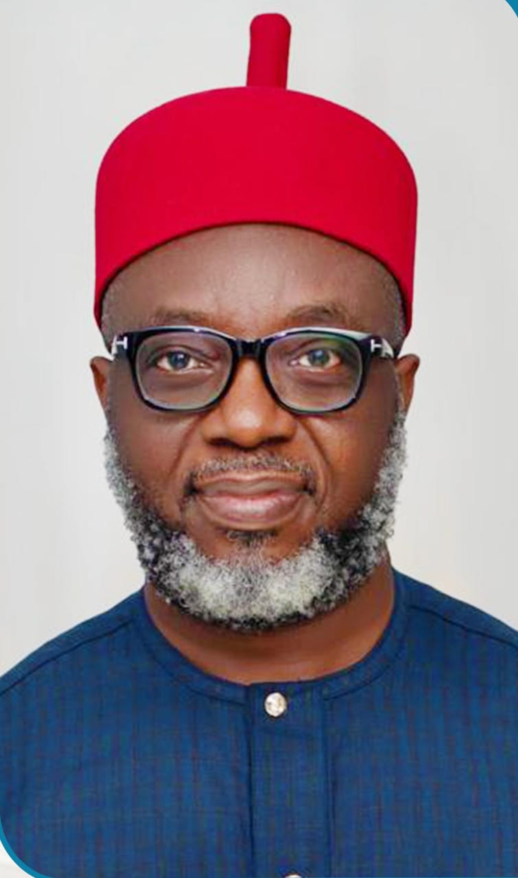 Tackling Illegal Revenue Collectors in Anambra State: An Interview with ...